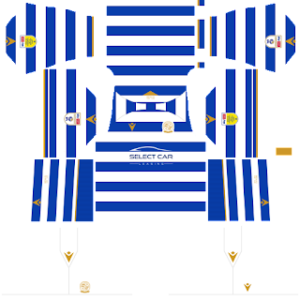 Reading FC DLS Kits 2022 - Dream League Soccer Kits 2022