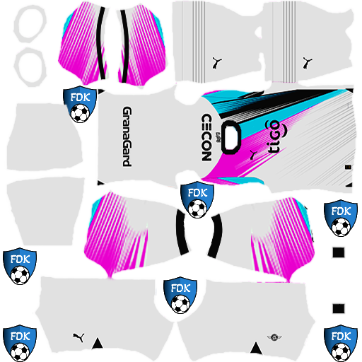 Libertad FC DLS Kits 2024 - Dream League Soccer Kits 2024
