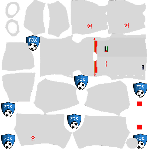 Palestine DLS Kits 2024 - Dream League Soccer Kits 2024