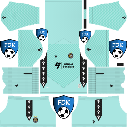 ES Sétif DLS Kits 2025 - Dream League Soccer Kits 2025